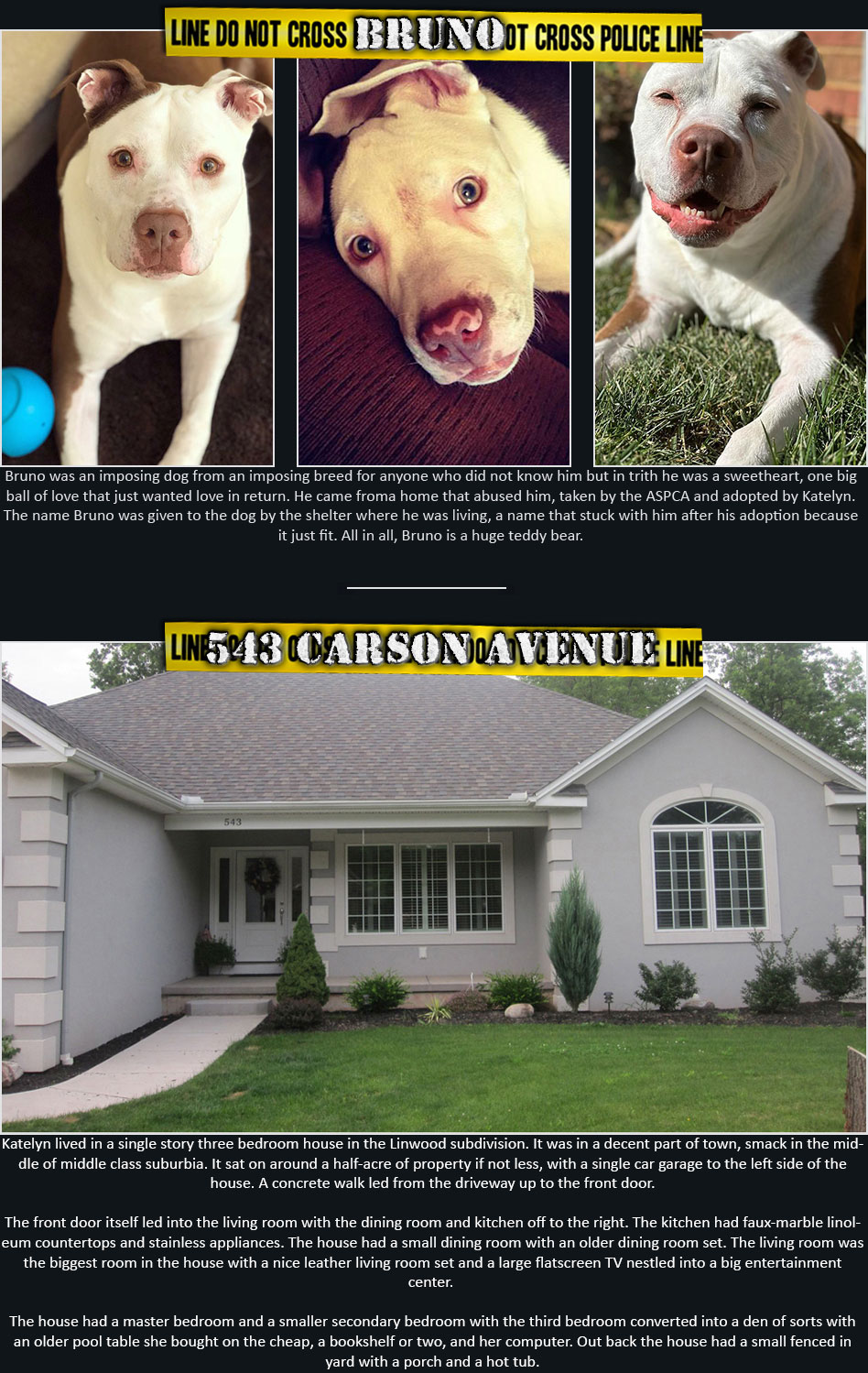 Viewing Katelyn_Bennet